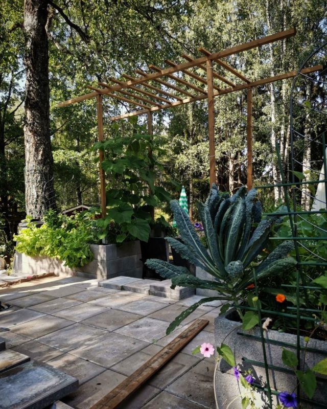 5 luottokasviani kasvimaalle - LUOMULAAKSO